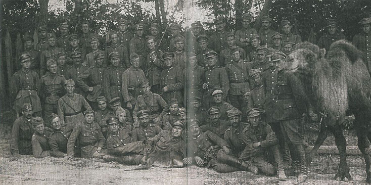 203. Ochotniczy Pułk Ułanów – historia powstania i walki w latach 1920 ...